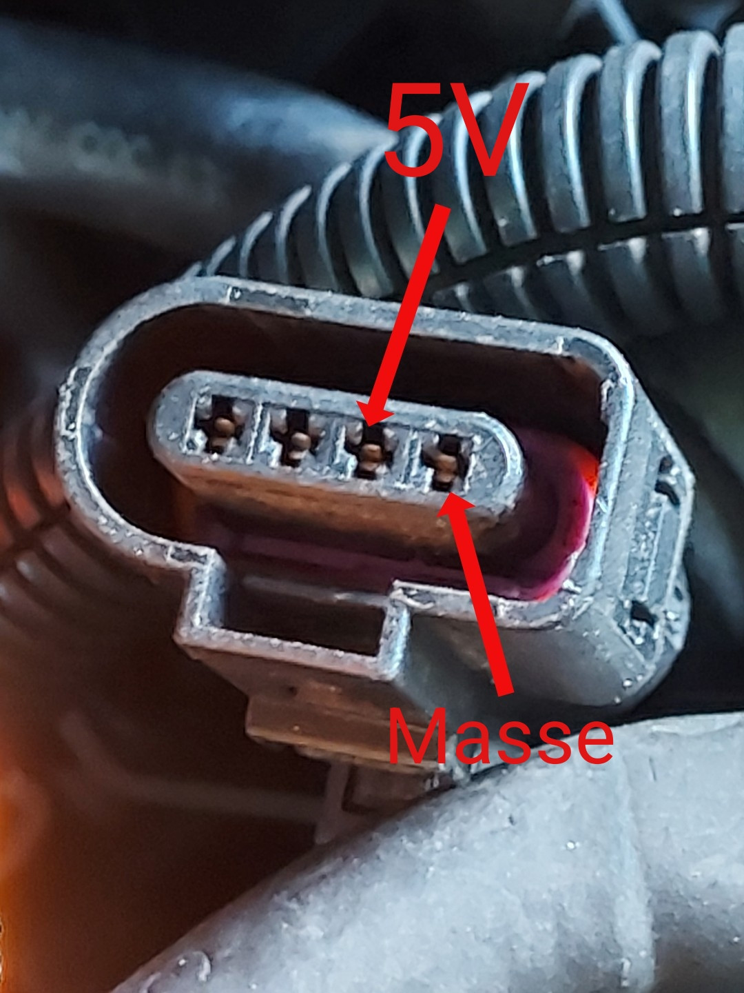 MAP Sensor Anschlussschema Pinbelegung - Startseite Forum Auto Volk...