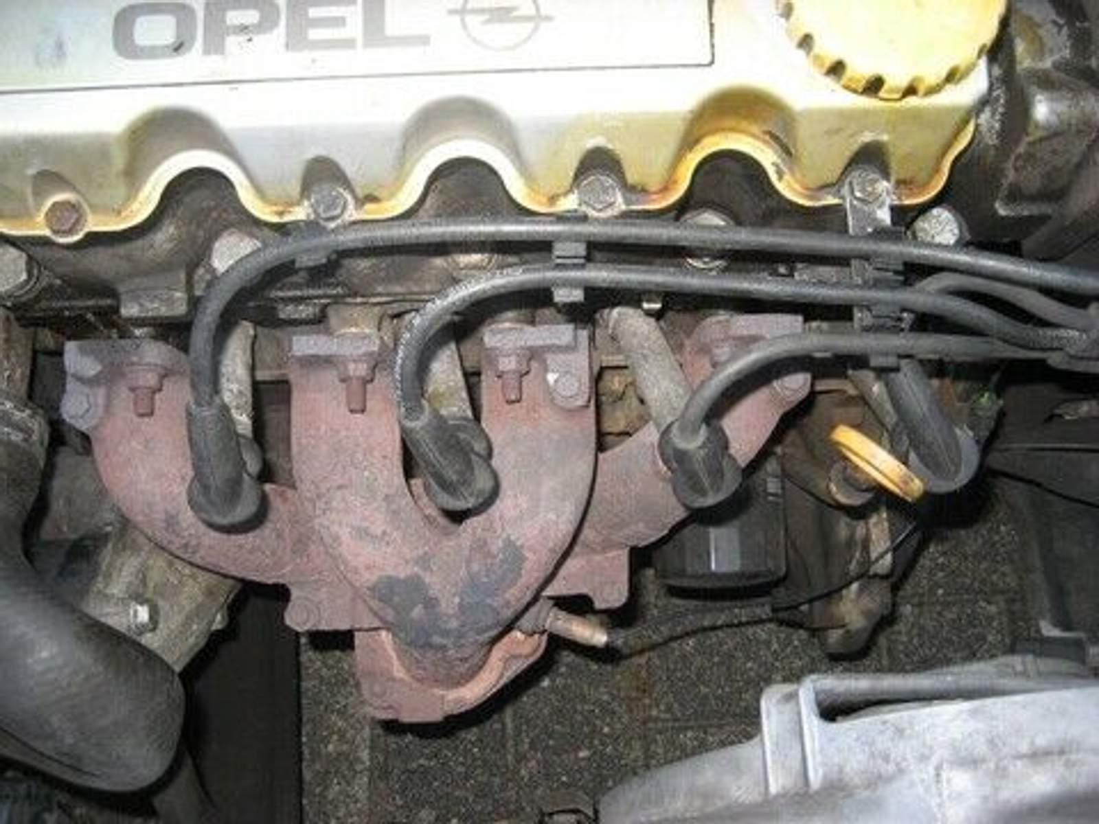 Verkaufe kompletten C16SE Motor 1,6 8V 101PS : Biete Opel