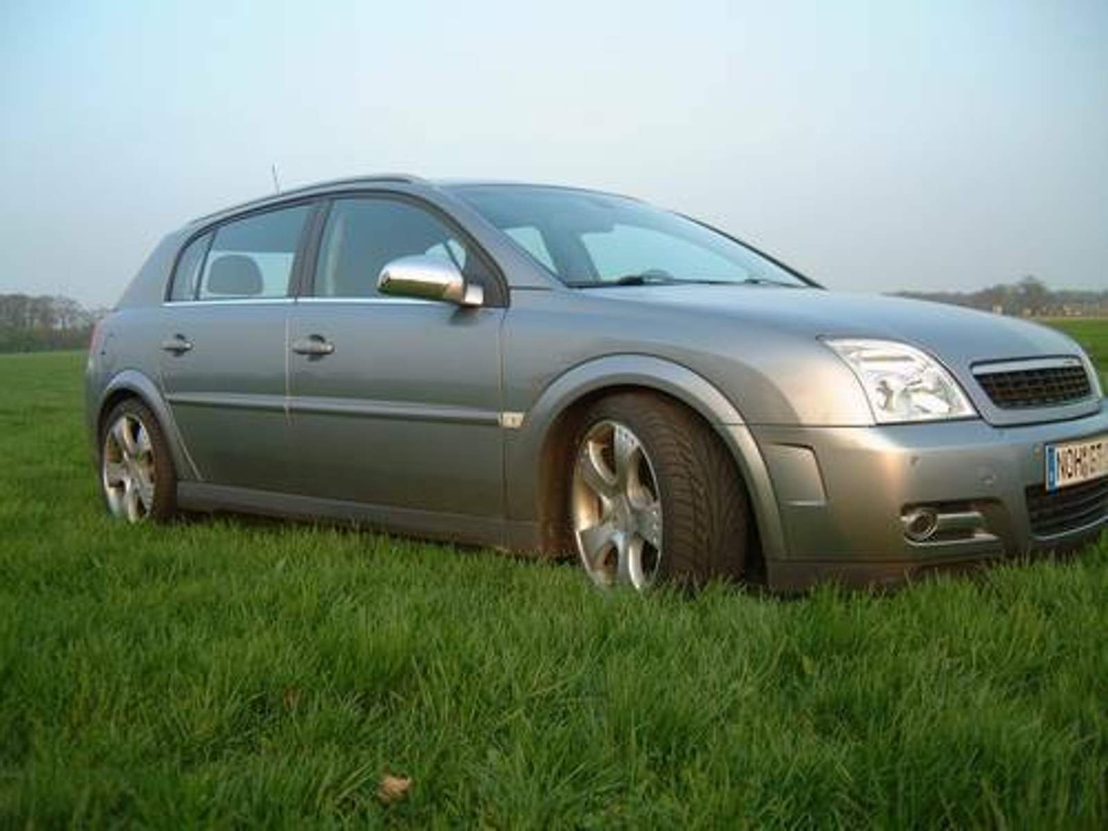 Super schön aufgemachter Signum 2.2 DTI - Irmscher / Lexmaul : Biete Opel