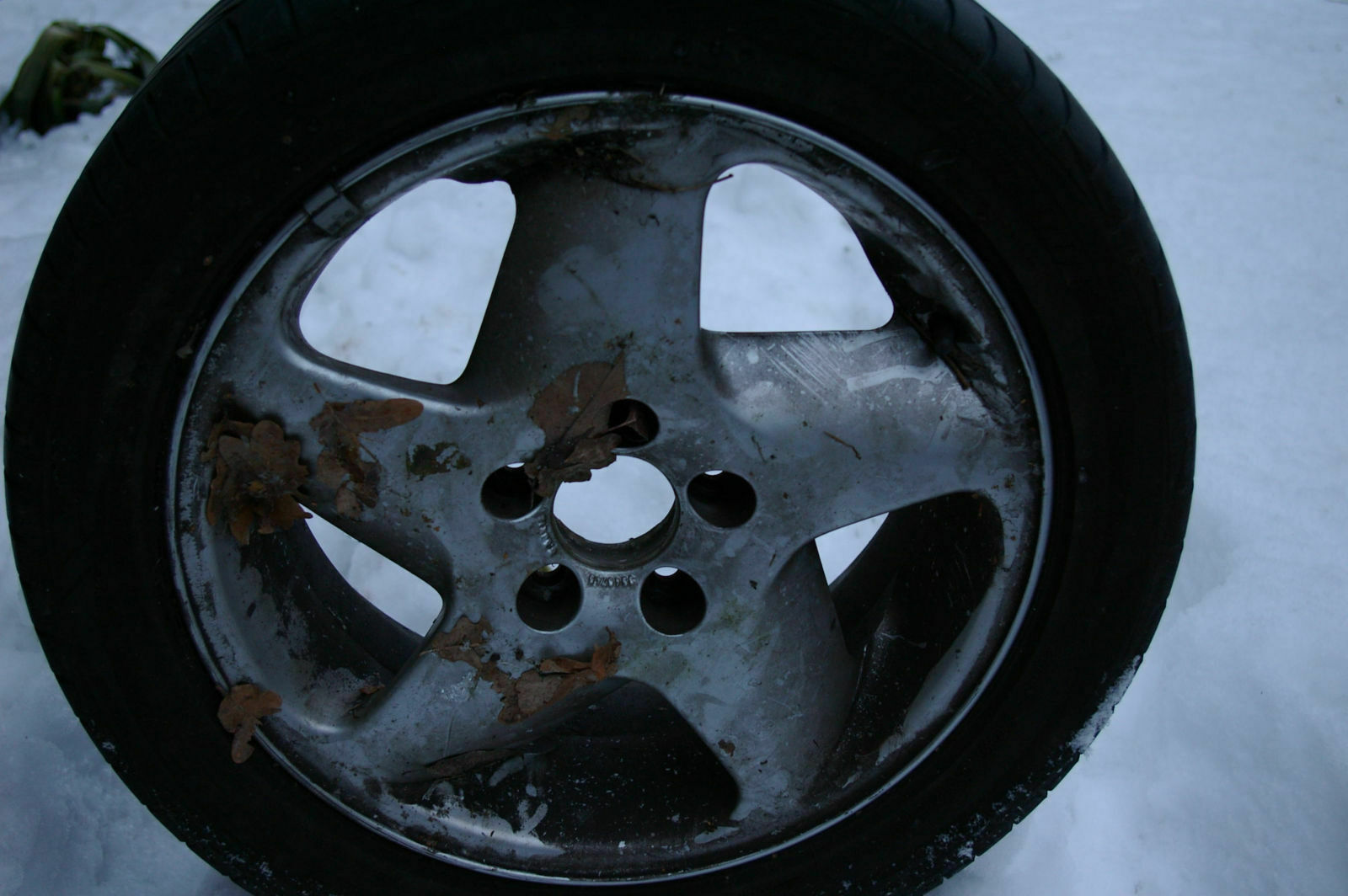 Volvo Columba 16". : Biete