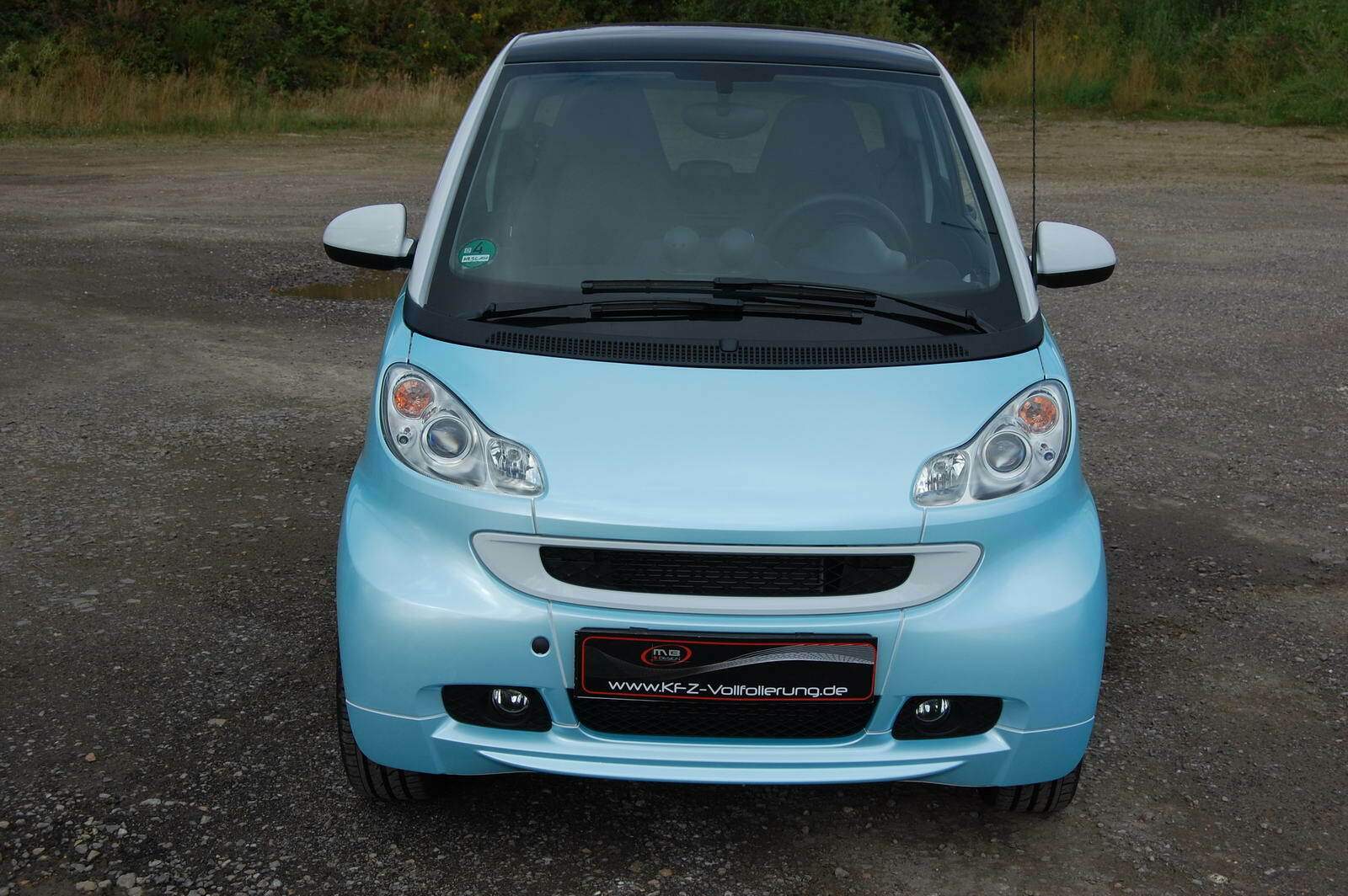 Smart-soft-ice-blue-007 : Smart Fortwo 451 1.0 von THE_Matrix ...