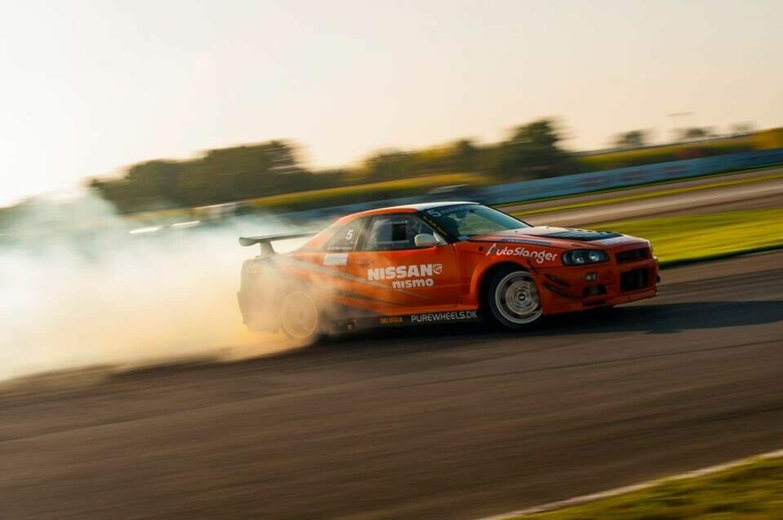 Skyline mit Viper-Motor: Martin Hjermitslev hat einen V10 in seinen ...