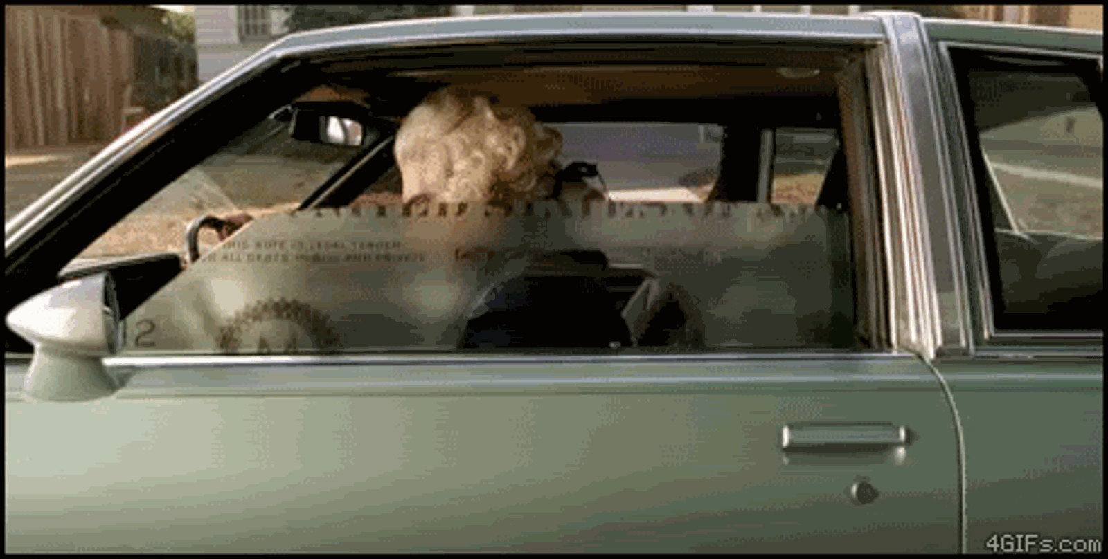 Lustige-animierte-auto-gifs-zum-lachen : Der ultimative Off-Topic-Blog ...