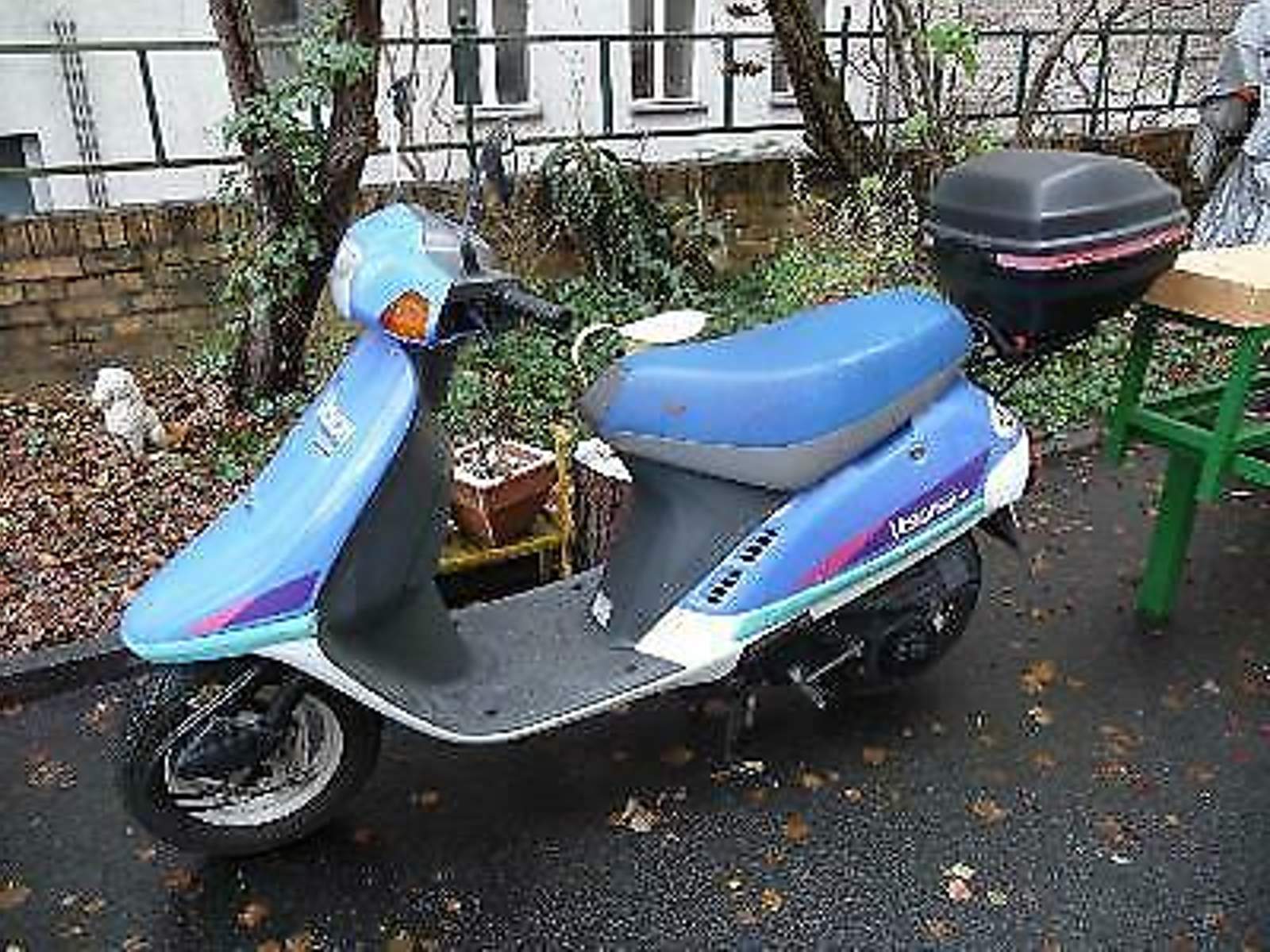 Honda-af-29-baujahr-1993 : Toms Diskusions - Ecke : max.tom : #208364405