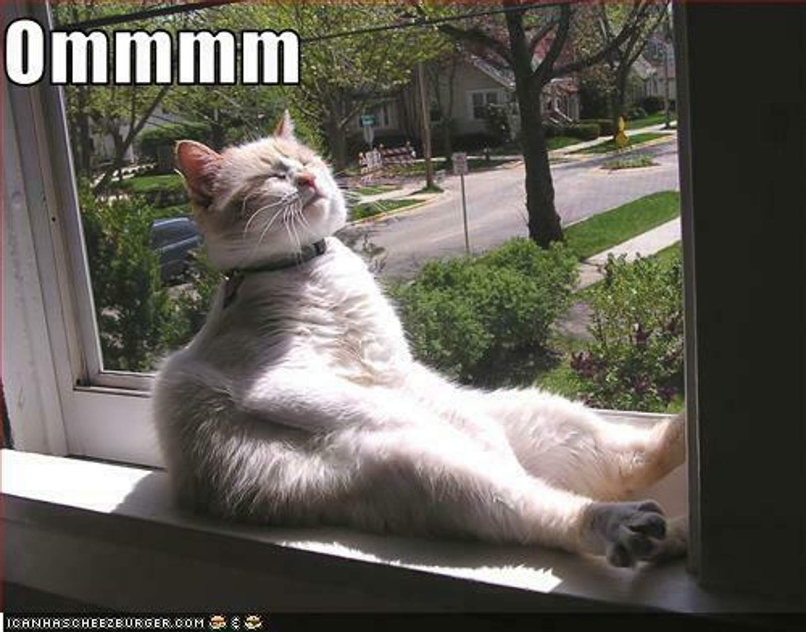 Ommmm : Der ultimative Off-Topic-Blog : Kaminzimmer : #208806274