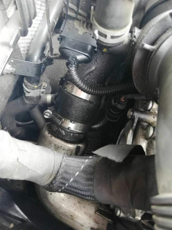 Abgasgeruch Im Auto
