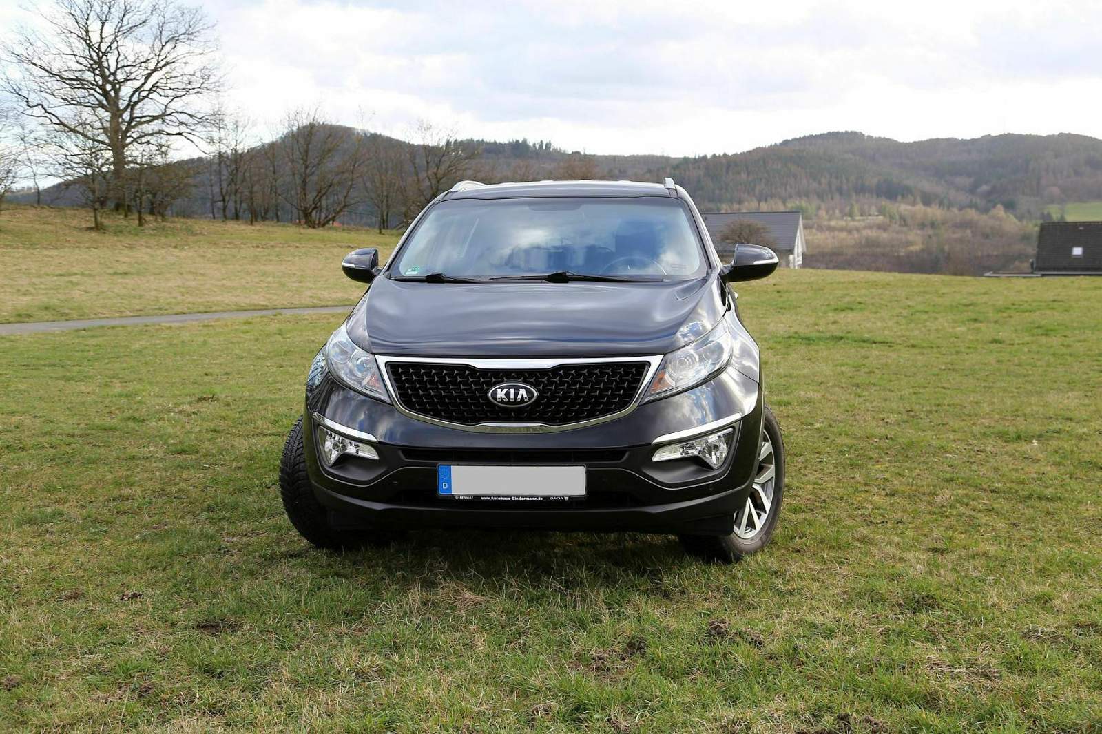 Kia-1 : Kia Sportage 1,6 GDI : Biete : #209793907