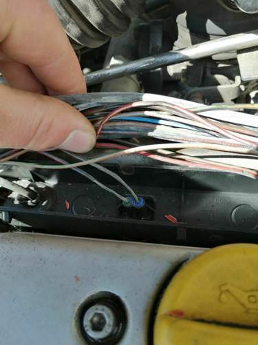 Vergammelte Kabel, Motorkabelbaum tauschen. - Seite ...