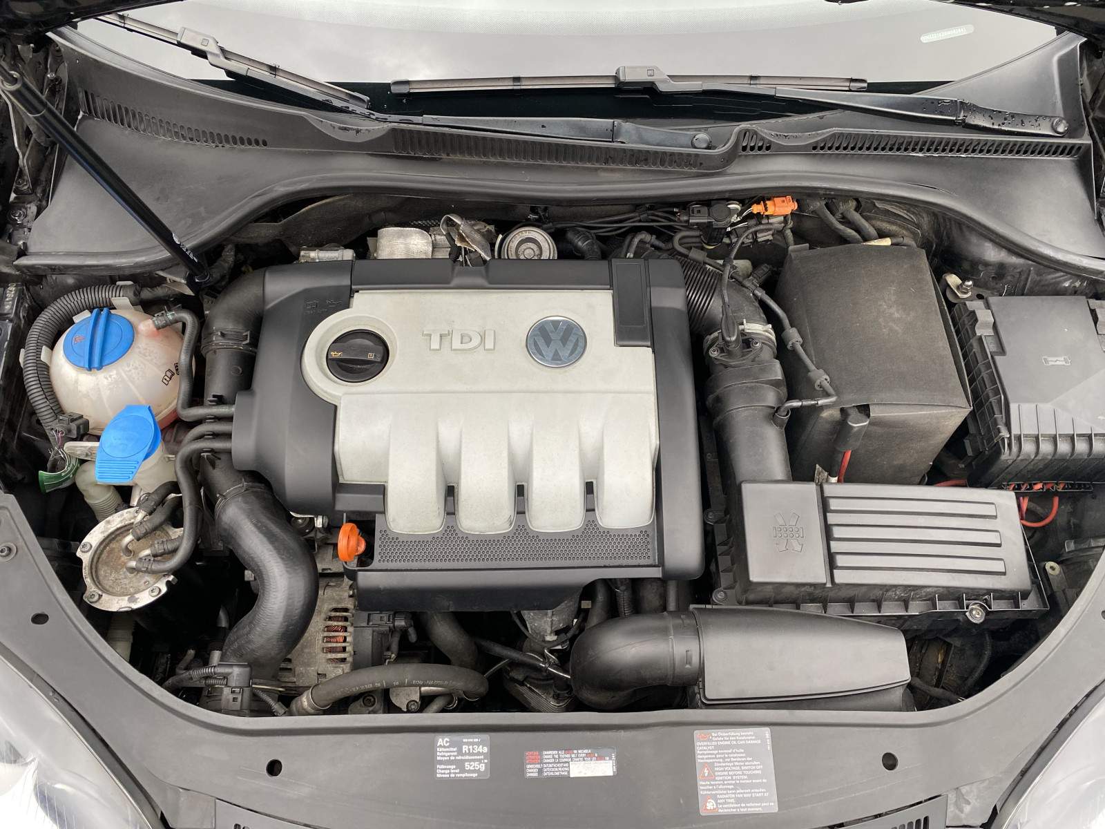 VW Golf 5 : VW Golf 5 (1K1/2/3) 2.0 TDI Test : Testberichte : #210566926