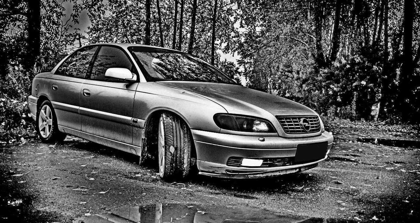 Opel-omega-sw : Bilder vom Ommi : Opel Omega & Senator : #210653147