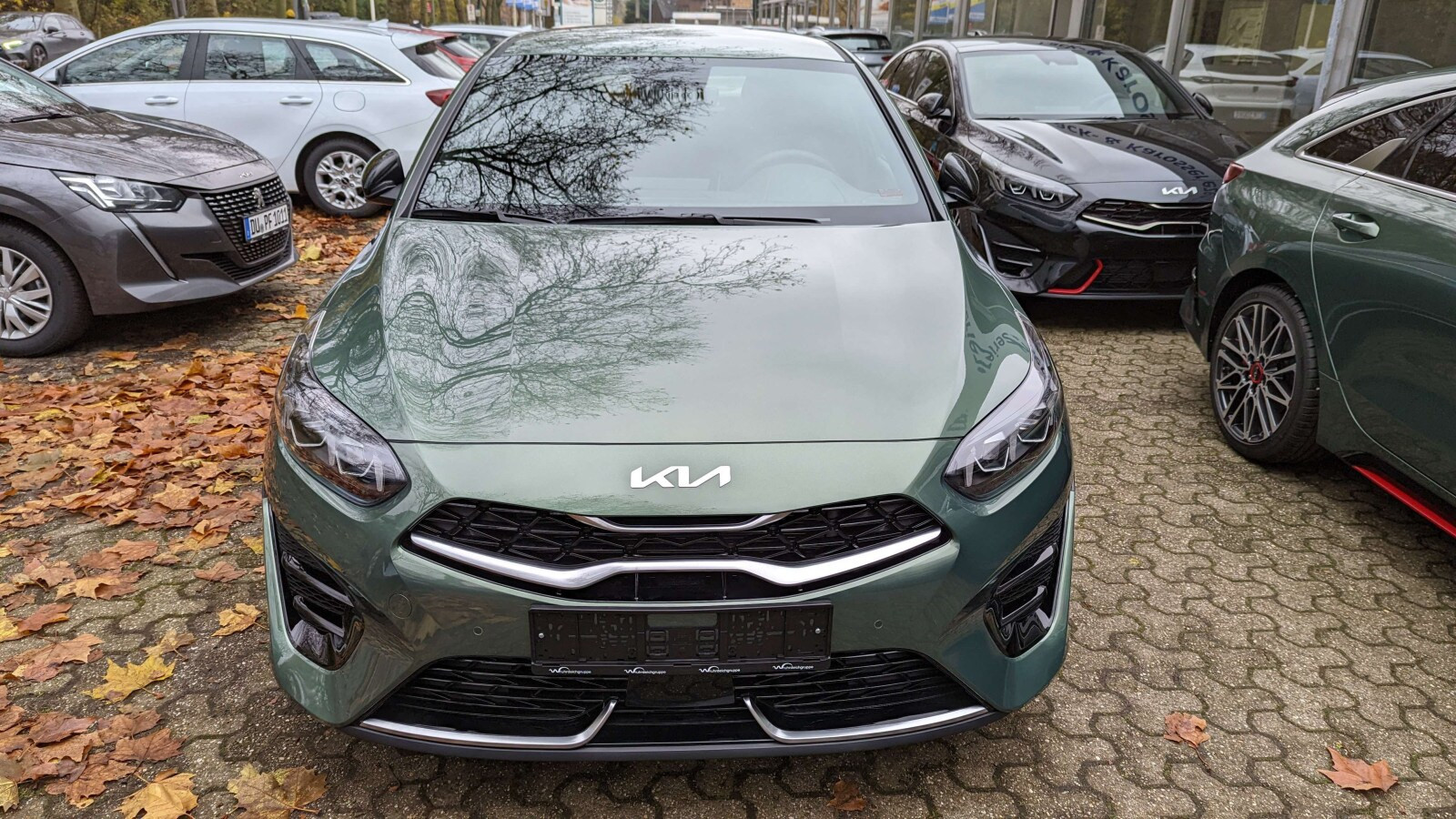 Ceed | GT-Line | Experience Green : Unterwegs mit "Tobi" : Testberichte ...