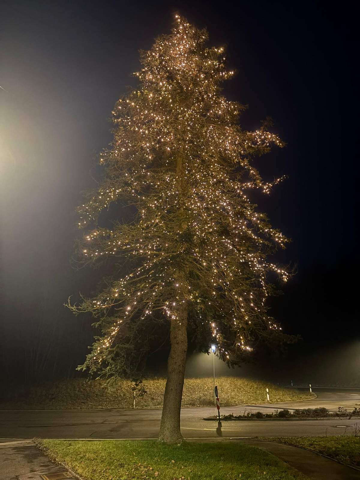 Frohes Fest und guten Rutsch - Rückblick und Aussicht : Topic: Off-Topic